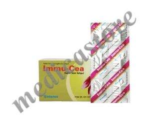 5 Manfaat Echinacea untuk Daya Tahan Tubuh-Medicastore